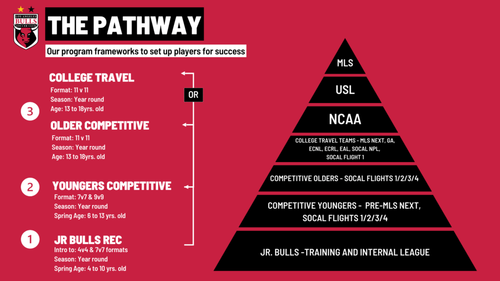 Club Structure - Los Angeles Bulls Soccer Club